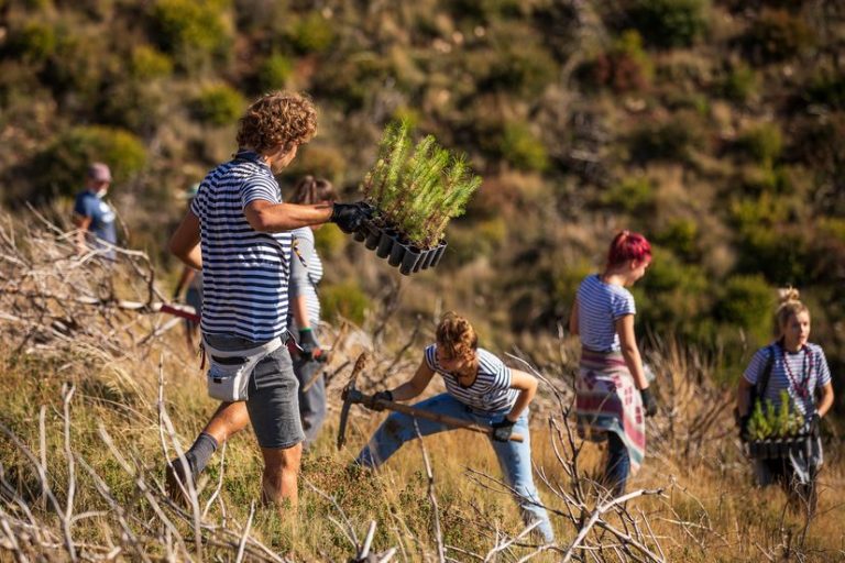 Volunteers, Canadian Ambassador take part in reforestation drive near ...
