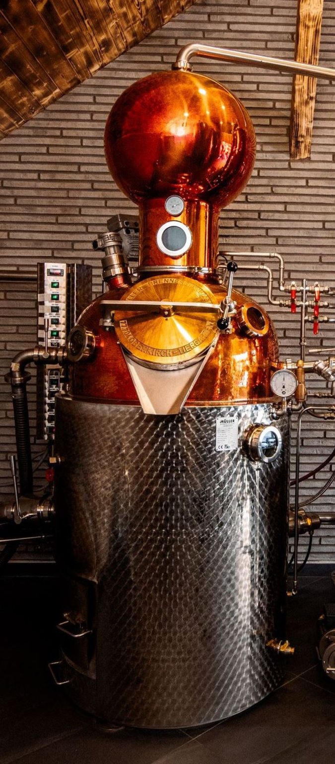 Croatian rakija wins gold and silver for first time in San Francisco ...