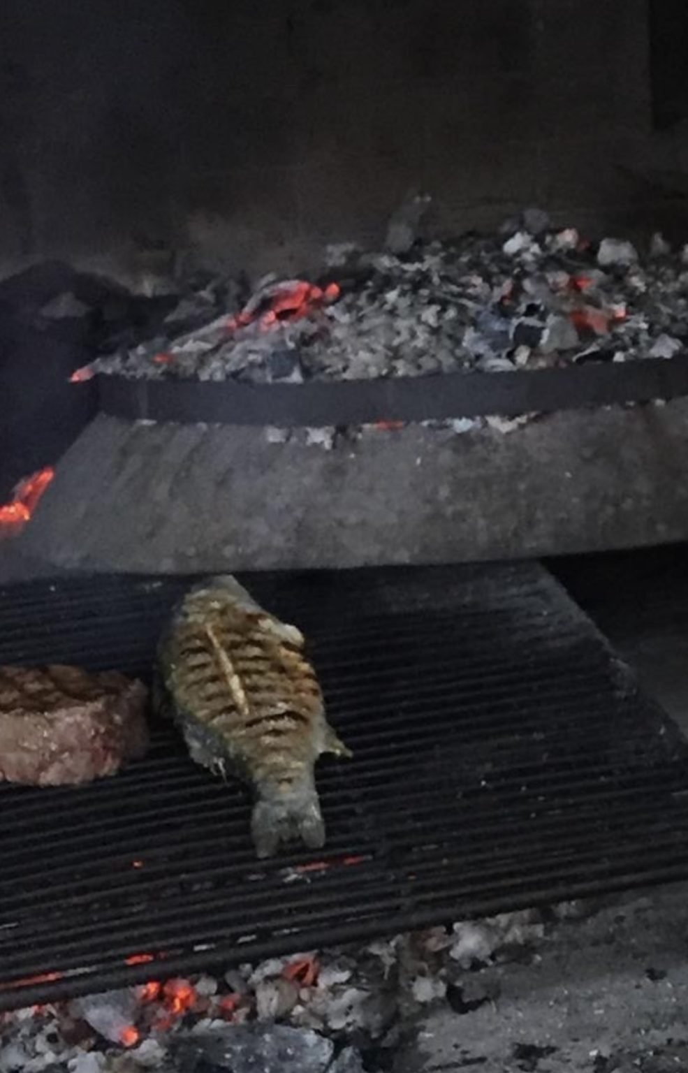 Memories of a carefree childhood on Mljet island and the magical ...