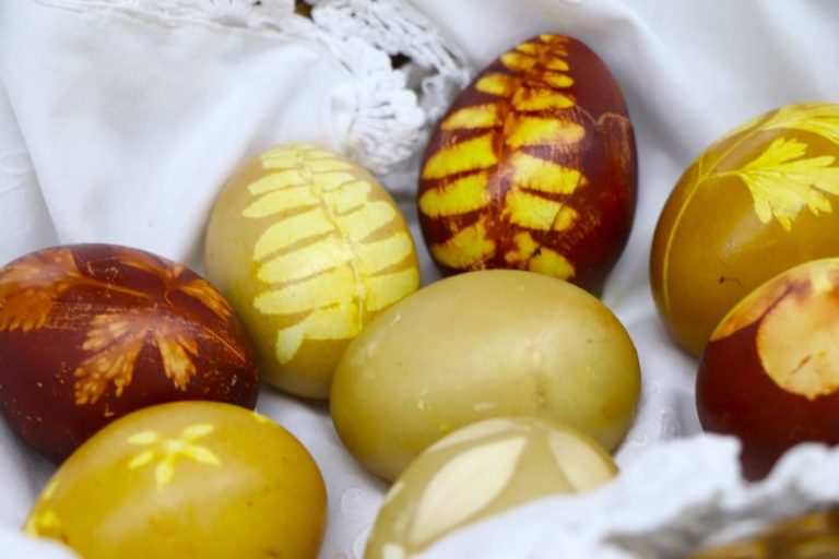 Cross-Cultural Celebration: Croatian Easter in Brazil | Croatia Week