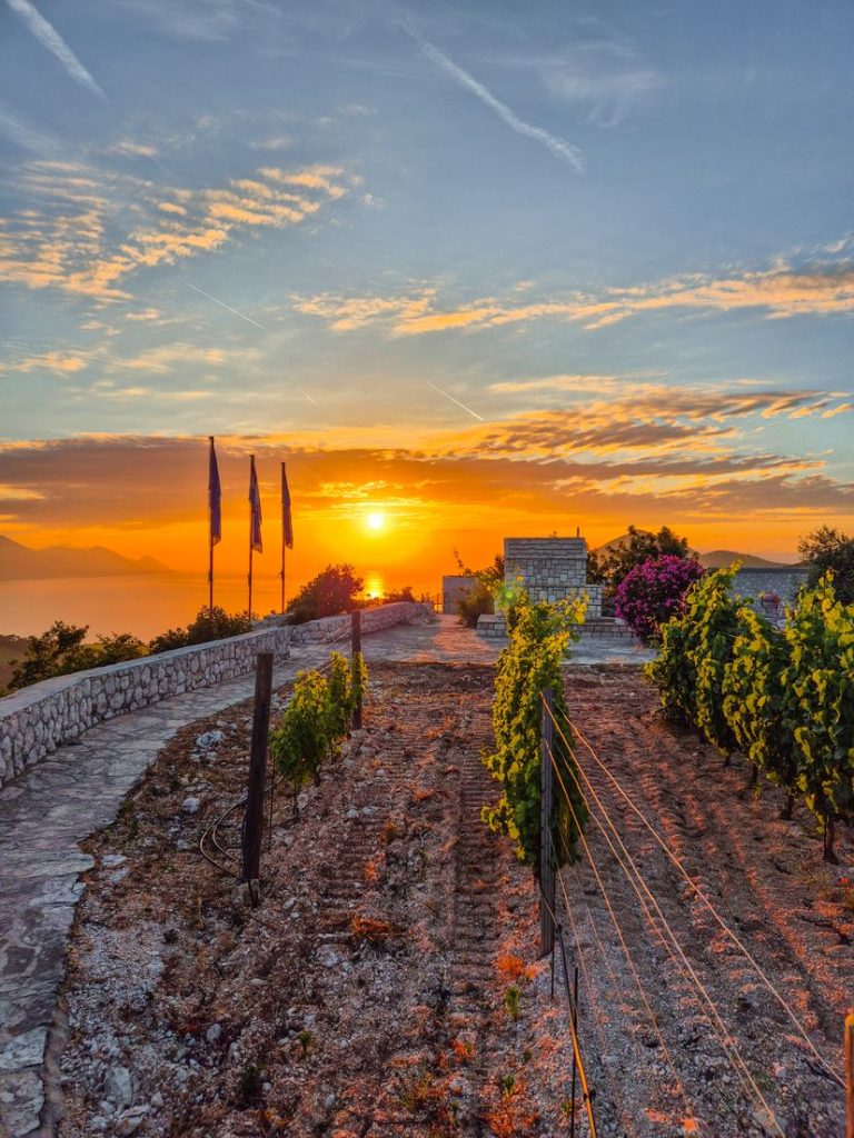 Croatian winery named most beautiful in Europe | Croatia WeekCroatia Week